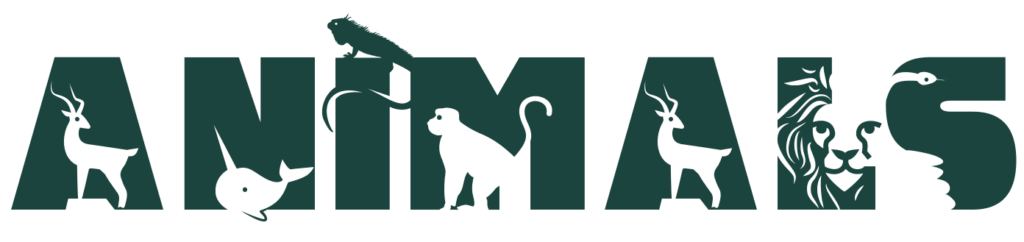 31 Common Types of Rats: Identification With Pictures