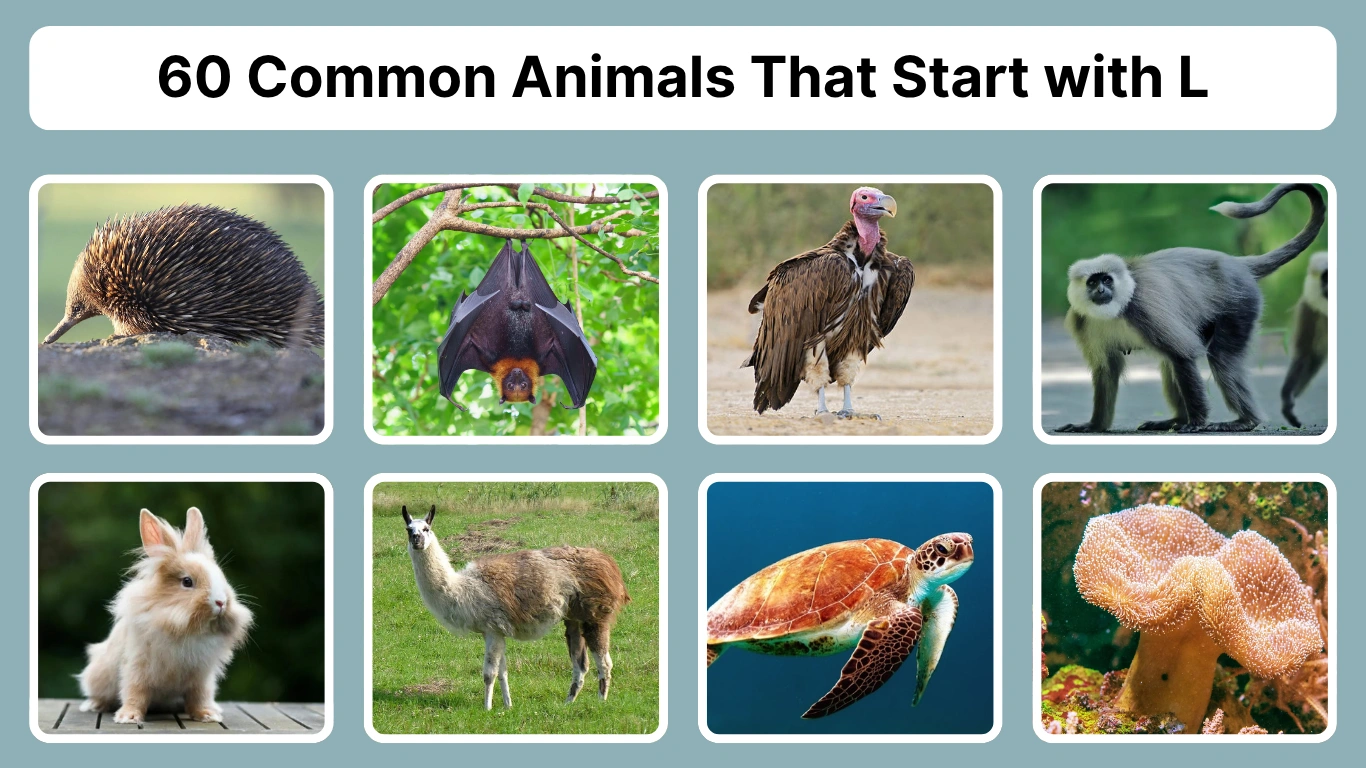 60 Common Animals That Start With L Identification With Pictures 60-common-animals-that-start-with-l-identification-with-pictures