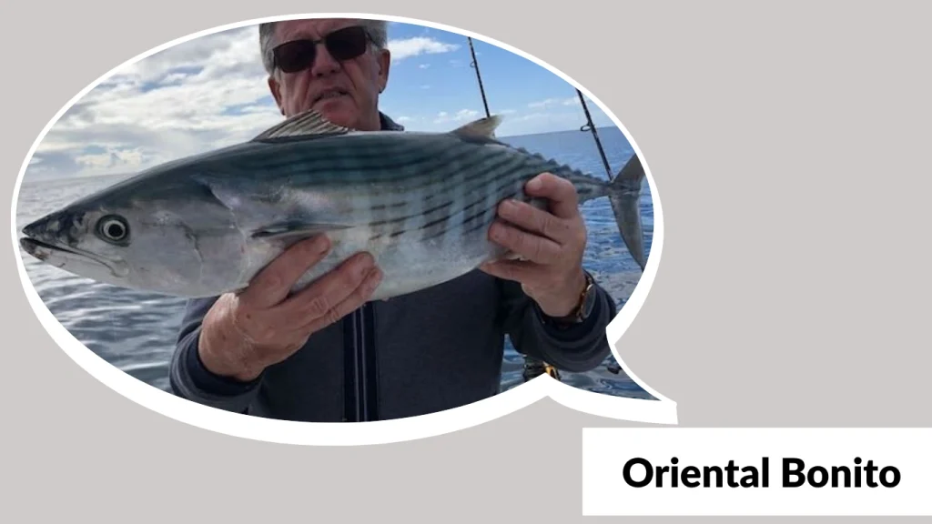 25 types of Tuna: Identification with Pictures