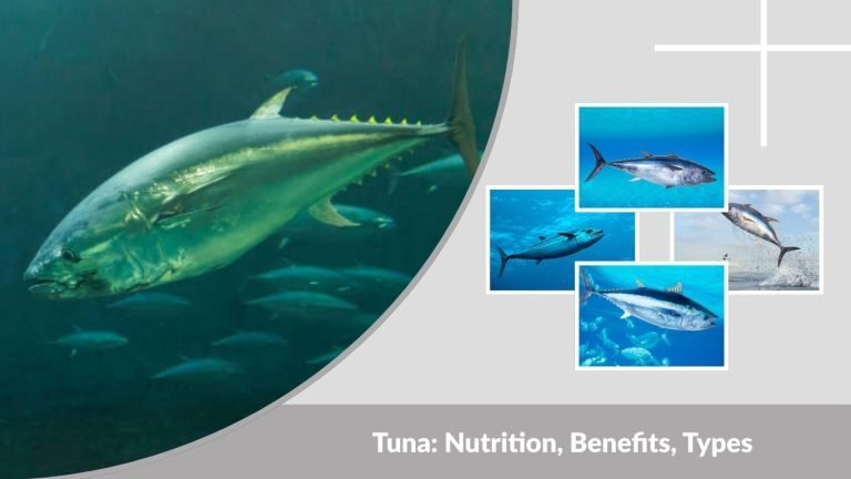 Tuna: Nutrition, Benefits, Types, and Safe Consumption Guide