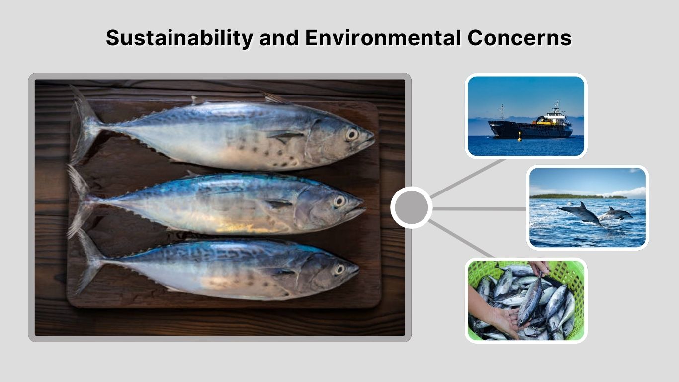 Tuna: Nutrition, Benefits, Types, and Safe Consumption Guide