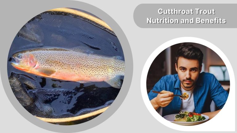 Cutthroat Trout: Complete Guide to Habitat, Size & Diet