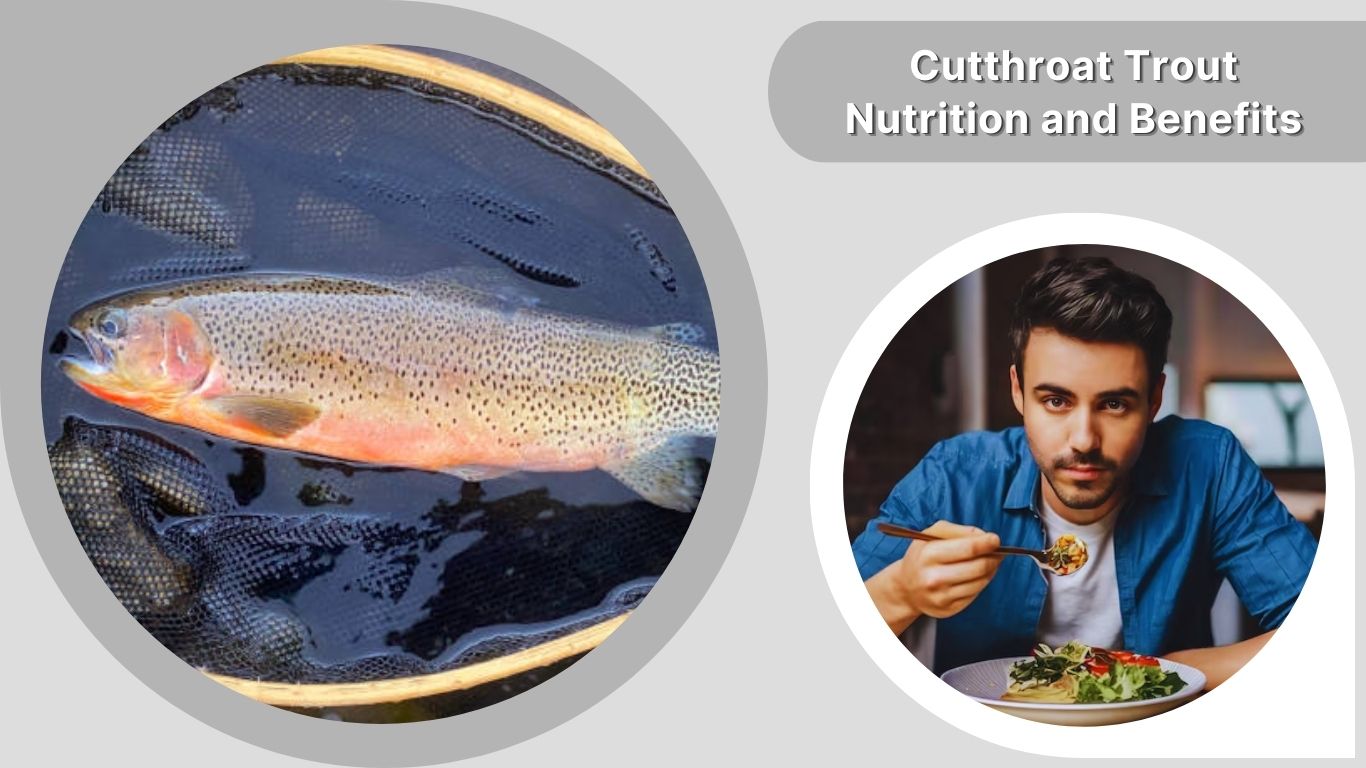 Cutthroat Trout: Complete Guide to Habitat, Size & Diet