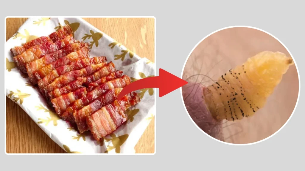 Botfly Removal: 10 Methods to Get Rid of Botfly Larvae