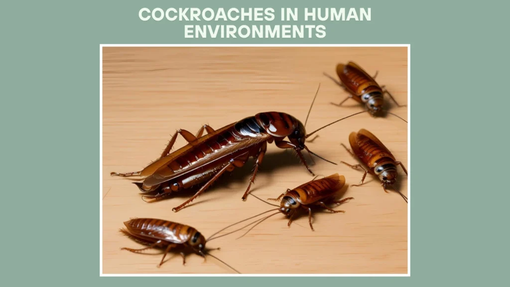 Cockroach Facts: 30 Facts That Might Surprise You
