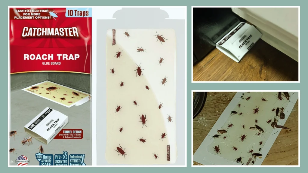 12 Best Roach Killers for Home Use That Actually Work