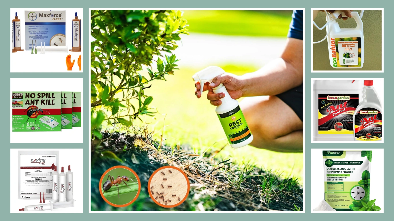 11 Best Ant Killers for Outdoors: Tested, Review & Guide