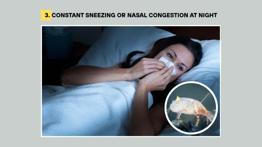 7 Warning Signs of Dust Mites in Your Bed : Bite and Symptom