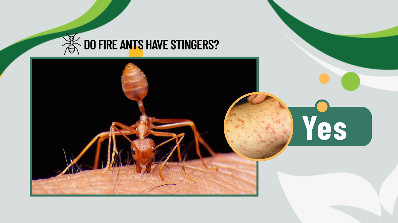 55 FAQs and Facts About Fire Ants: Bites, Behavior, and Control