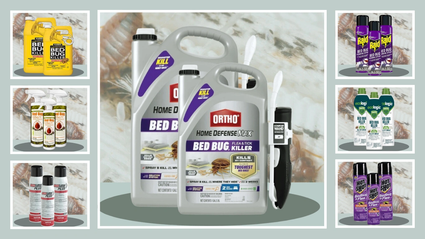 9 Most Powerful Poisons for Bed Bugs That Work 100%