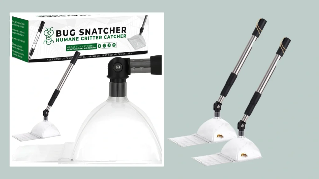 10 Best Spider Catchers for Safe and Easy Removal