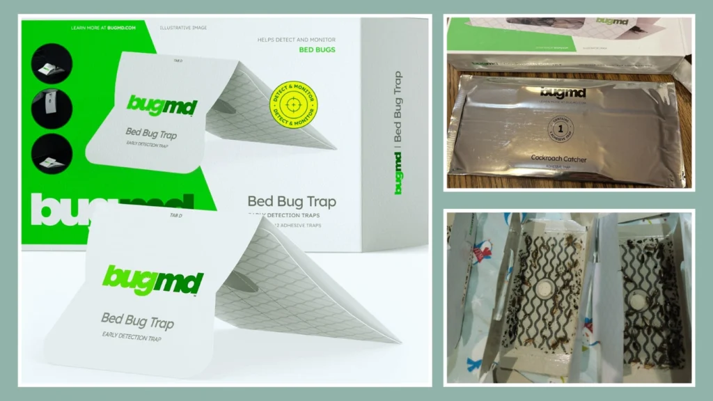 12 Best Bed Bug Traps and Killers That Actually Work