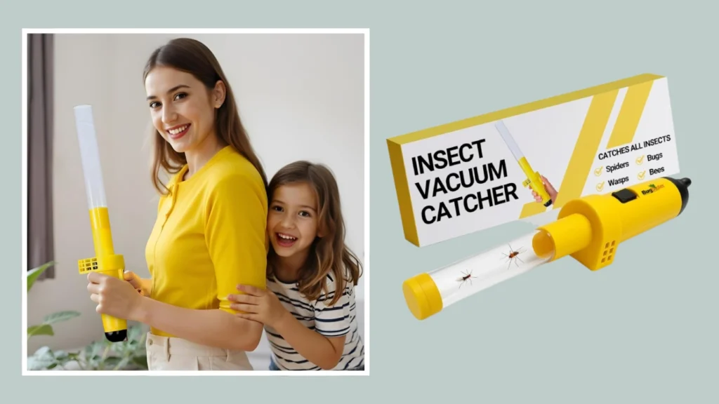 10 Best Spider Catchers for Safe and Easy Removal