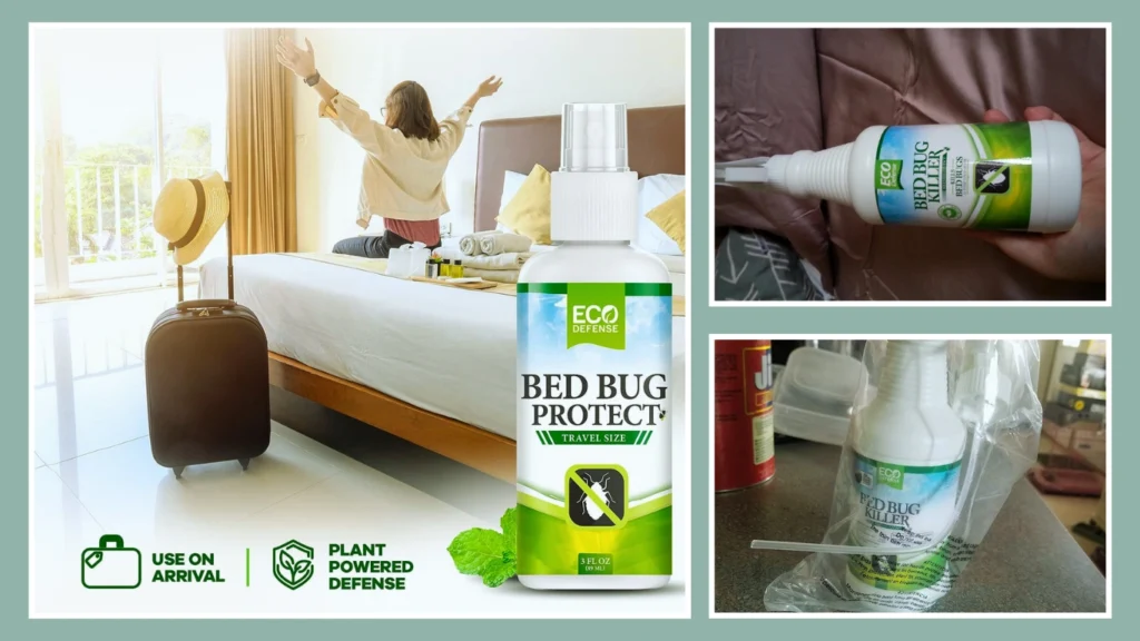 9 Best Bed Bug Sprays That Actually Work (Tested & Reviewed)