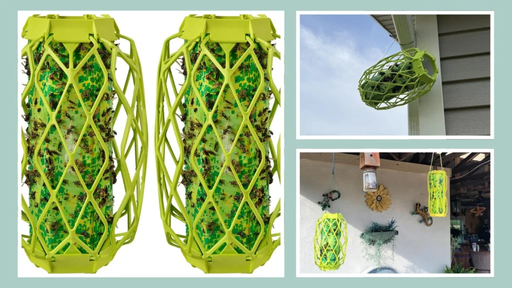 12 Best Outdoor Hanging Wasp Traps That Work