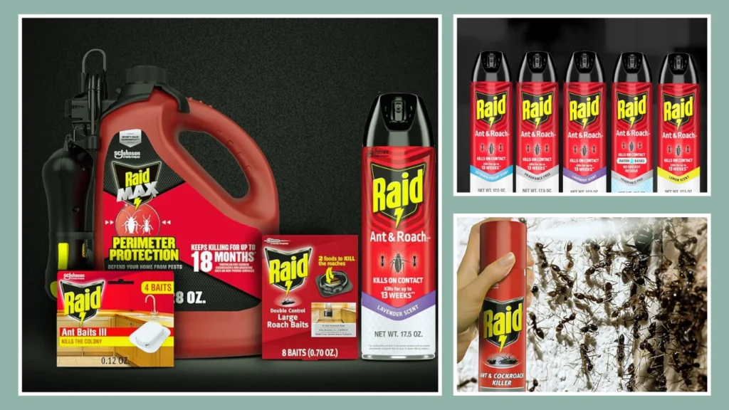 11 Best Ant Killers for Indoors: Powerful Solutions