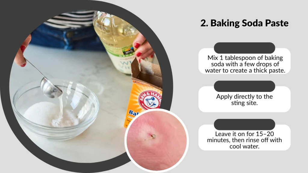 Bee Sting Treatment: 9 Home Remedies for Quick Relief