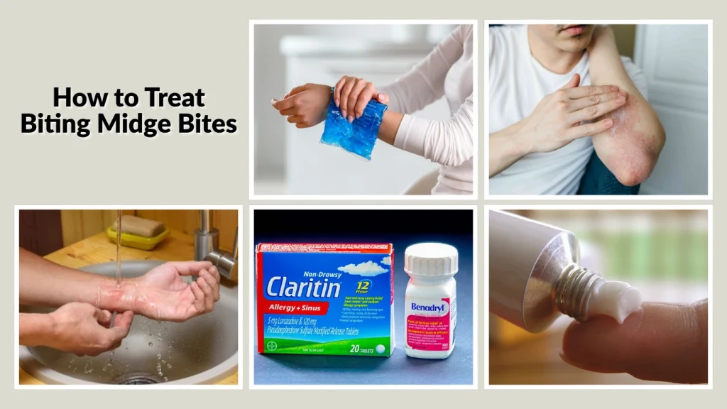 Biting Midges: Identification, Bites, Treatment, and Control