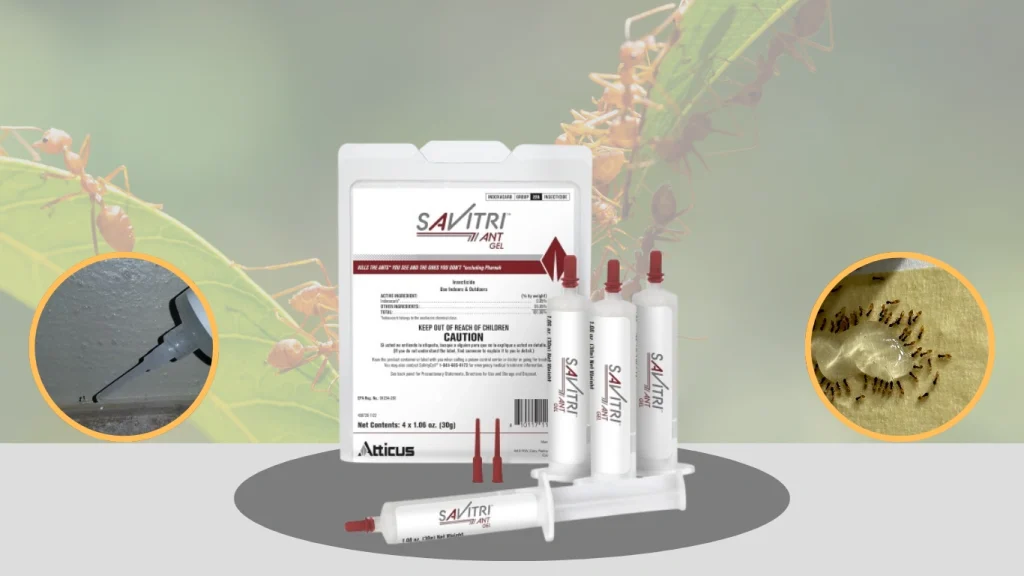 7 Best Ant Traps for Effective Pest Control in 2025