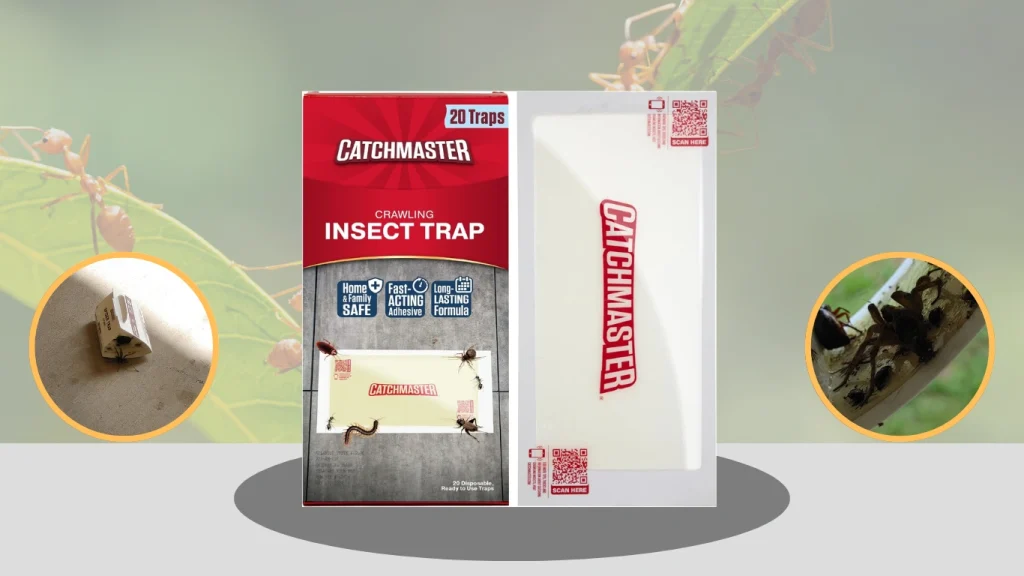 7 Best Ant Traps for Effective Pest Control in 2025