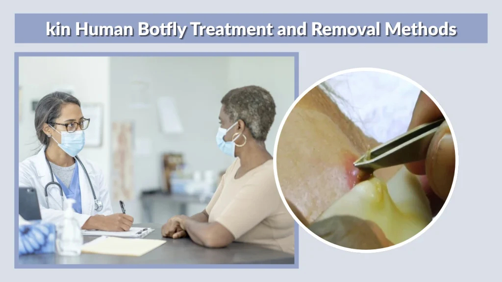 Skin Human Botfly Infestation: Causes, Symptoms, and Treatment