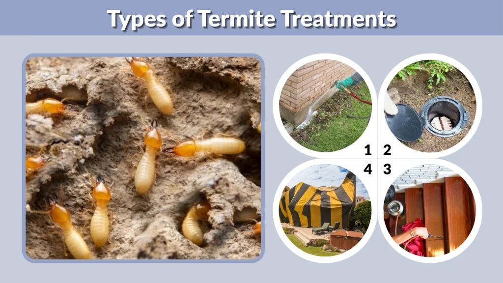 Termites Treatment: Complete Guide to Eliminating Termites