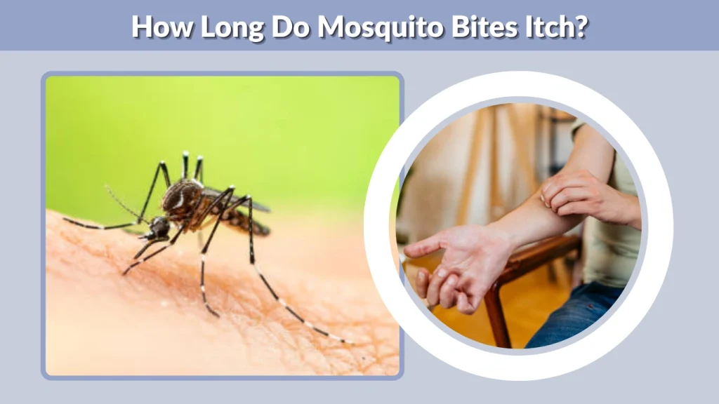 How Long Do Mosquito Bites Last? Complete Guide