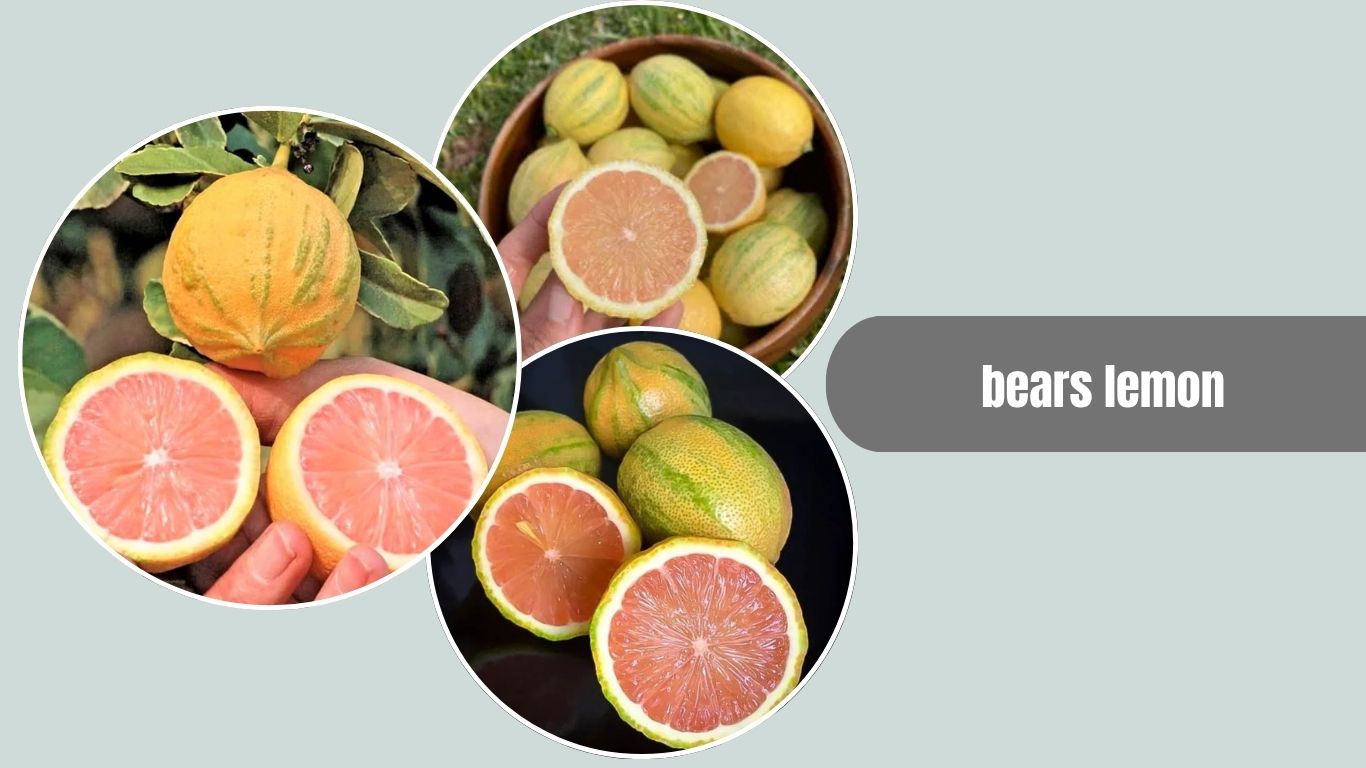 25 Types of Lemons: Names, Identification, and Growing