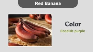 25 Popular Types of Banana Fruits: Identification with Pictures