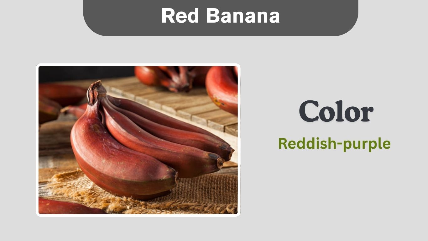 25 Popular Types of Banana Fruits: Identification with Pictures
