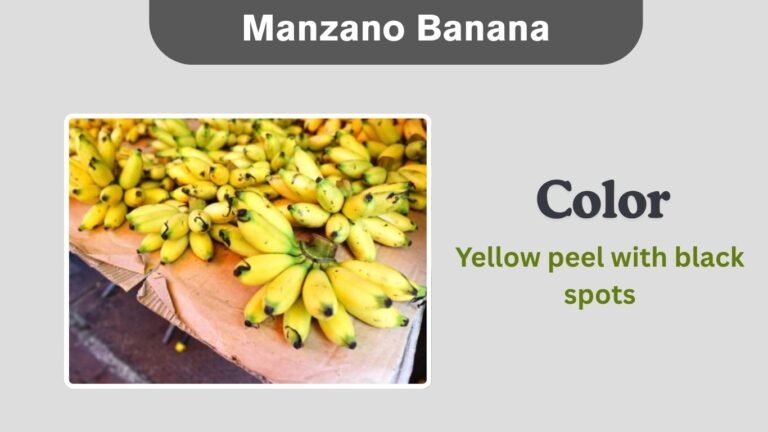 25 Popular Types of Banana Fruits: Identification with Pictures