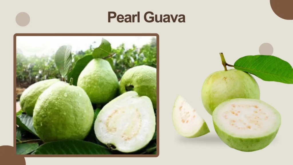 25 Popular Types of Guava: Names,Identification, and Key Features