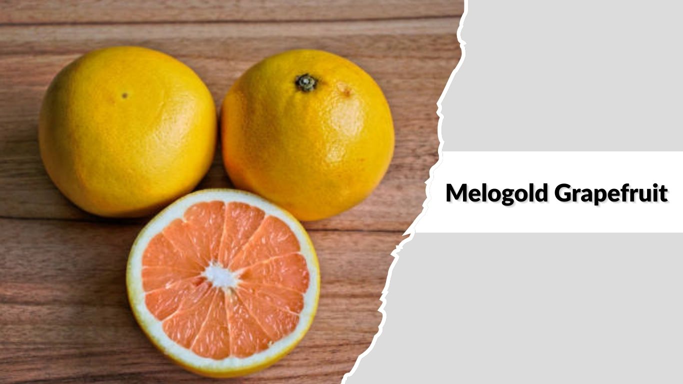 15 Types of Grapefruits: Species, Identification with Picture