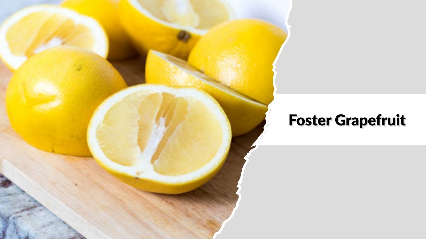 15 Types of Grapefruits: Species, Identification with Picture
