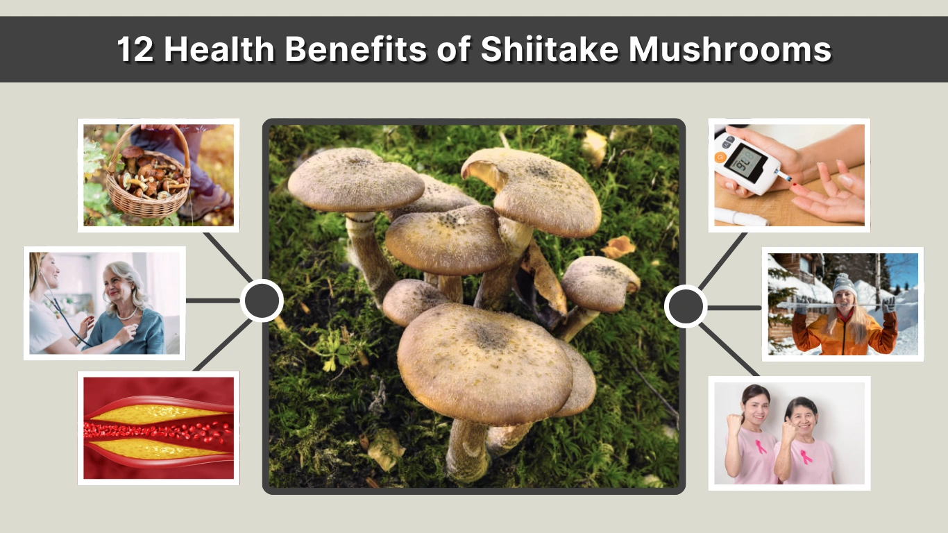 Lion’s Mane Mushroom Benefits and Side Effects: Uses, Nutrition, and ...