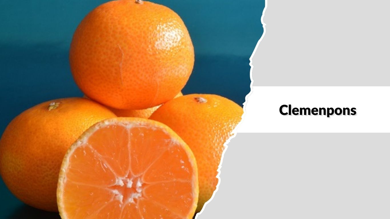 15 Types of Clementine Fruit: Species, Identification with Picture