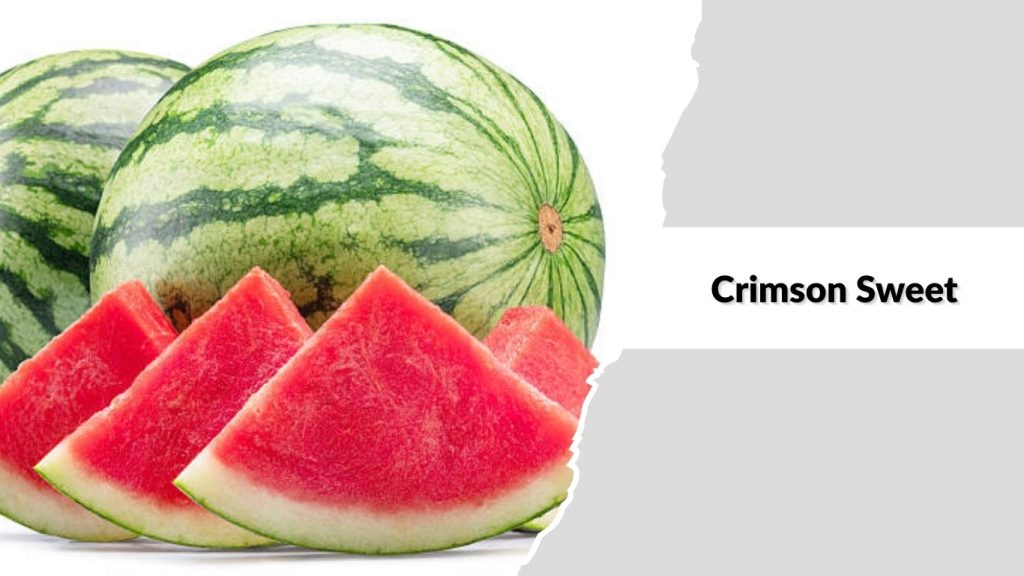 15 Types of Watermelon: Identification with Pictures
