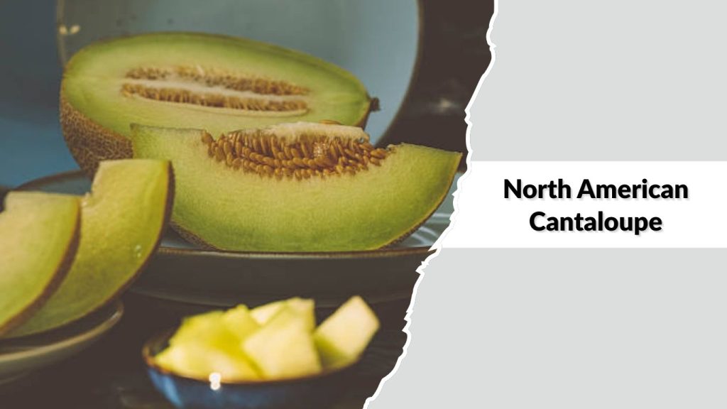 21 Types of Cantaloupe: Identification with Pictures