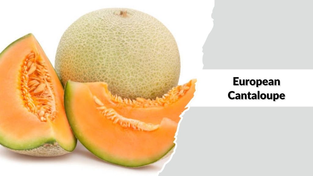 21 Types of Cantaloupe: Identification with Pictures