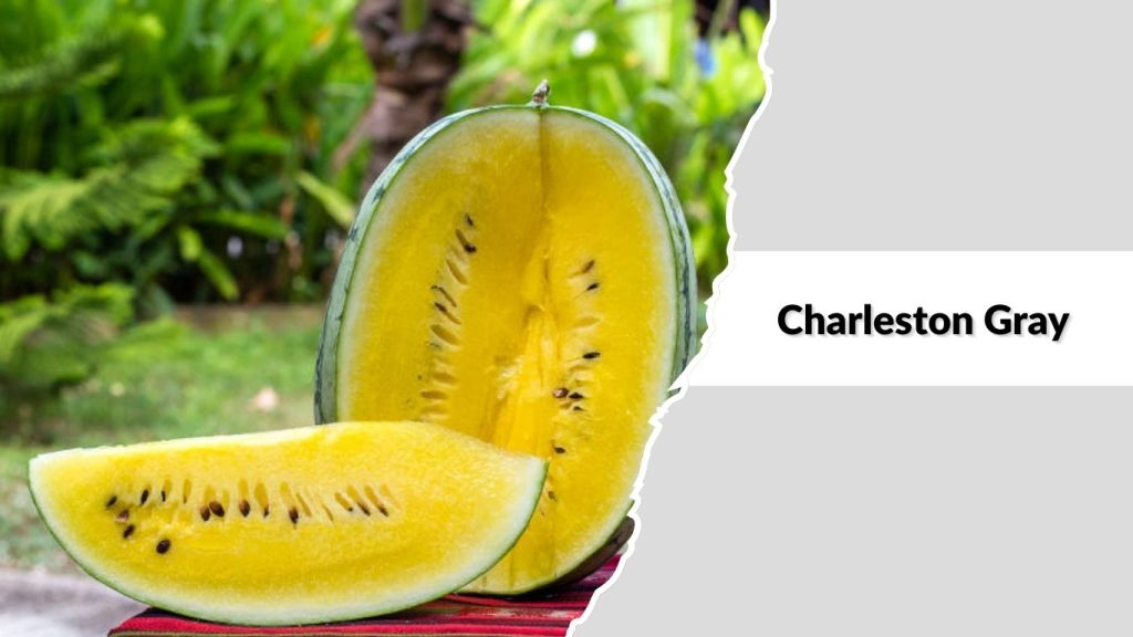 15 Types of Watermelon: Identification with Pictures