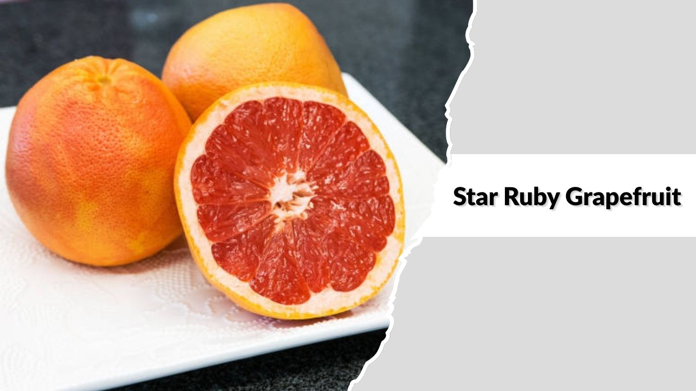 15 Types of Grapefruits: Species, Identification with Picture
