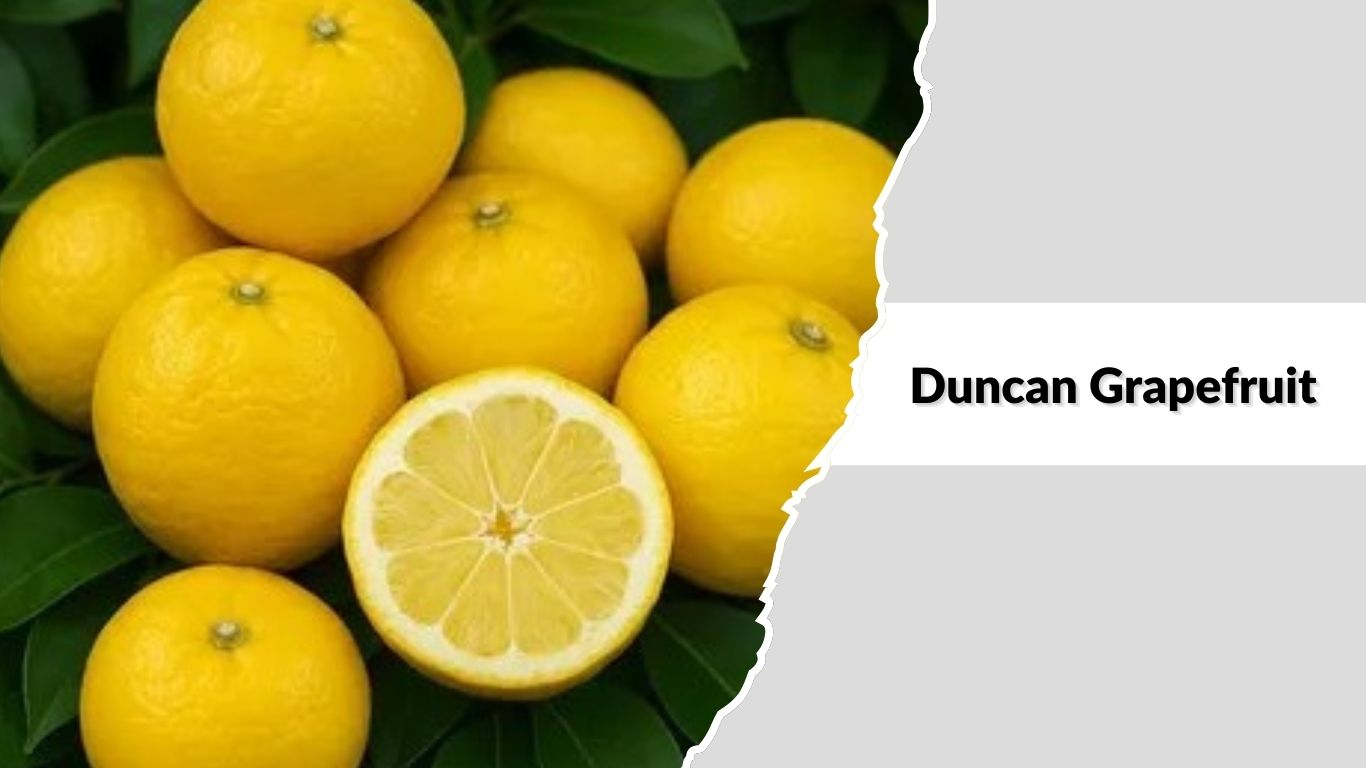 15 Types of Grapefruits: Species, Identification with Picture