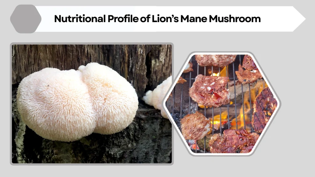 Lion’s Mane Mushroom Benefits and Side Effects: Uses, Nutrition, and ...