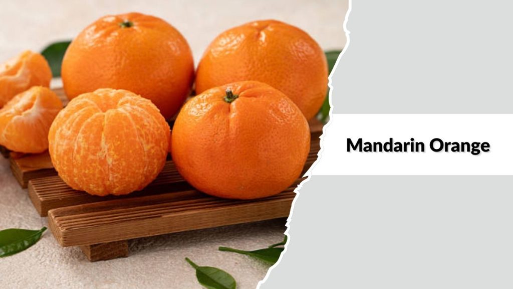 10 Types of Mandarin Fruit: Species, Identification with Picture