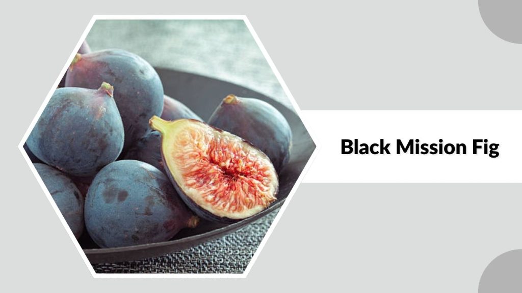 10 Popular Types of Fig Fruits You Should Know: Id with Pictures